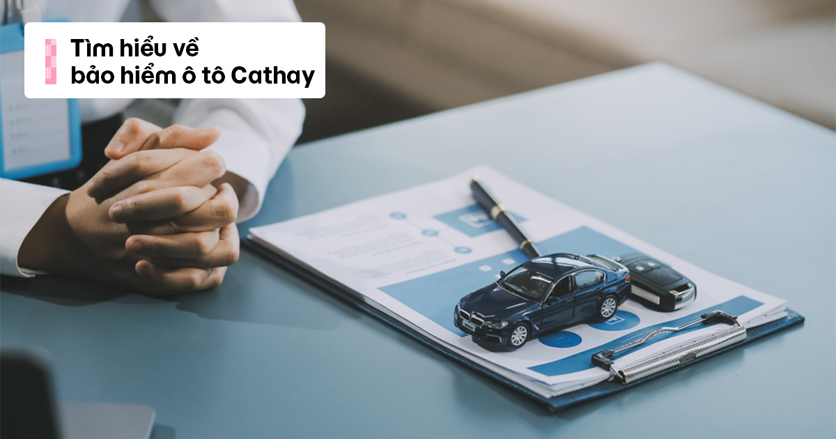 Khám phá bảo hiểm ô tô Cathay và những điều bạn cần biết