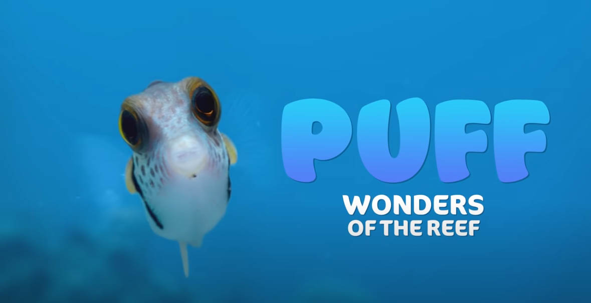 Phim Puff: Wonders of the Reef - Thông tin lịch chiếu, giá vé